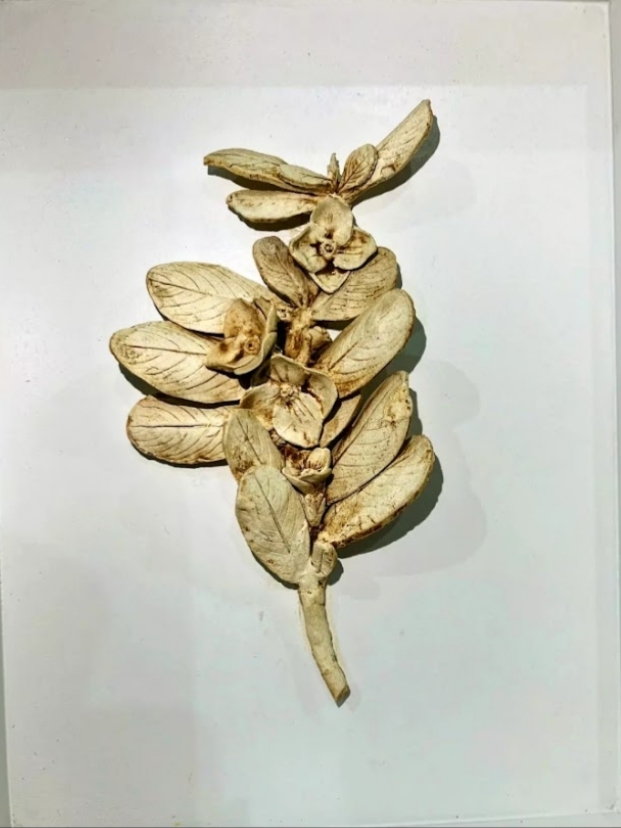 Faiqa Peerzada | Early youth and sadness II (primrose) – O Art Space