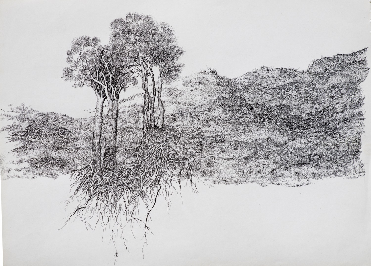 Talat Dabir | Untitled – O Art Space